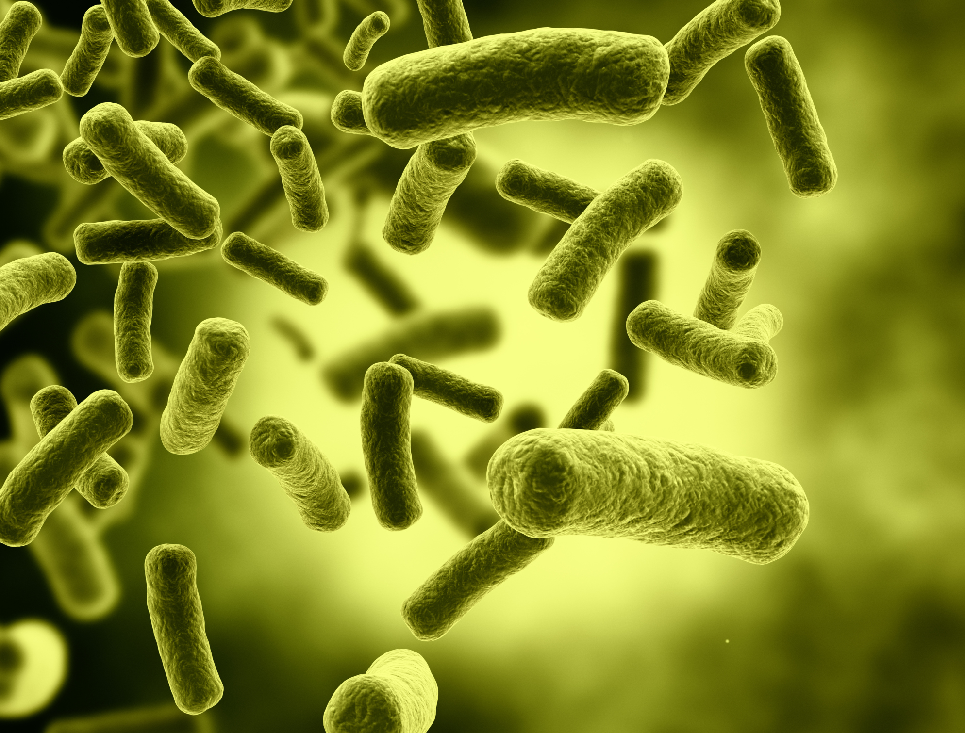 Classification TMD Du E Coli Formation Mati res Infectieuses TMD Classification TMD Du E Coli Formation Mati res Infectieuses TMD